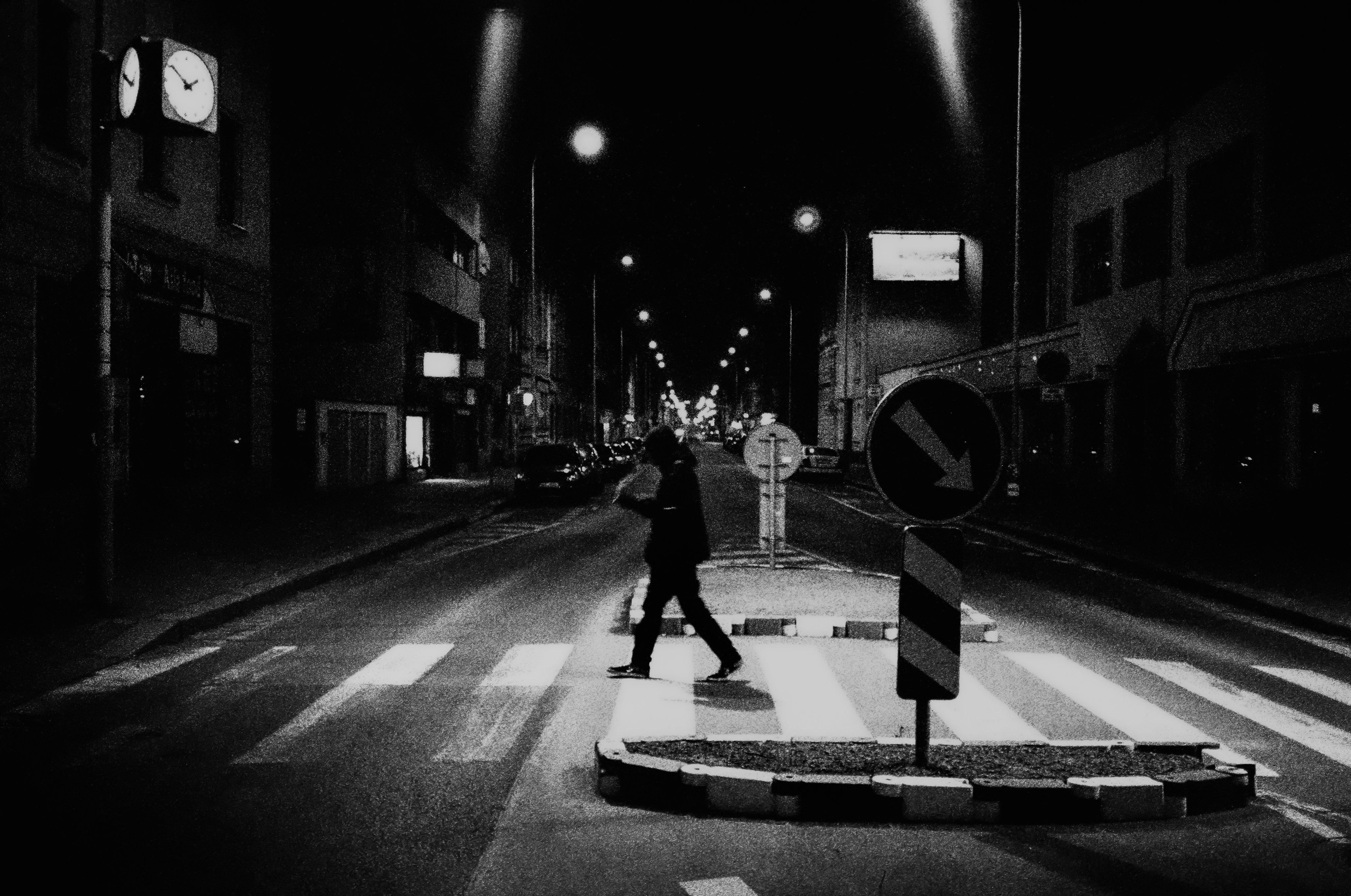 Tin Lizards by Robert LeBlanc - DRAWLIGHTS