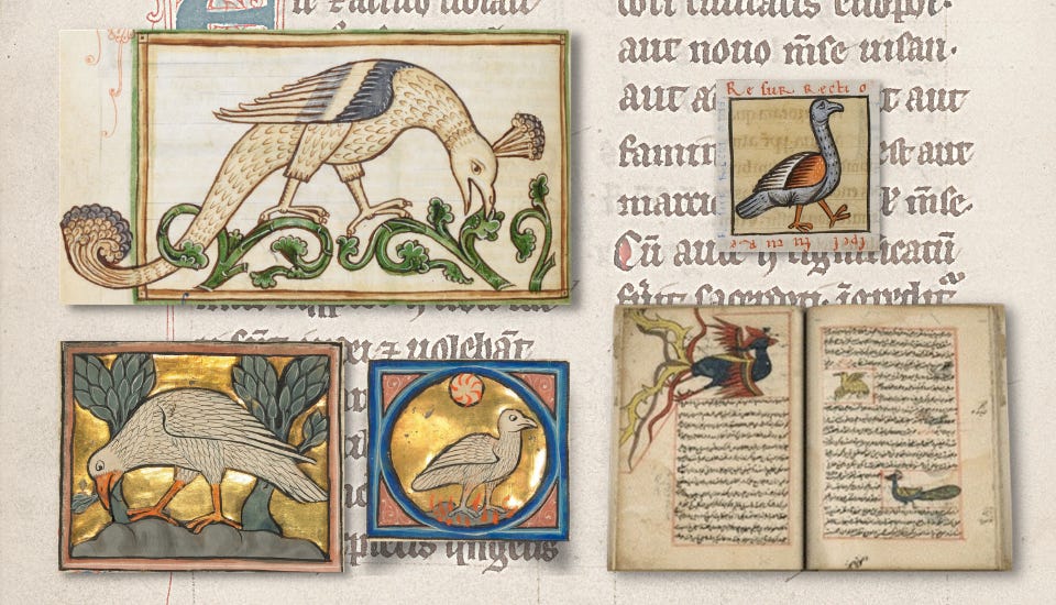 Phoenix Rising from the Ashes: Symbolic death & resurrection in story & art