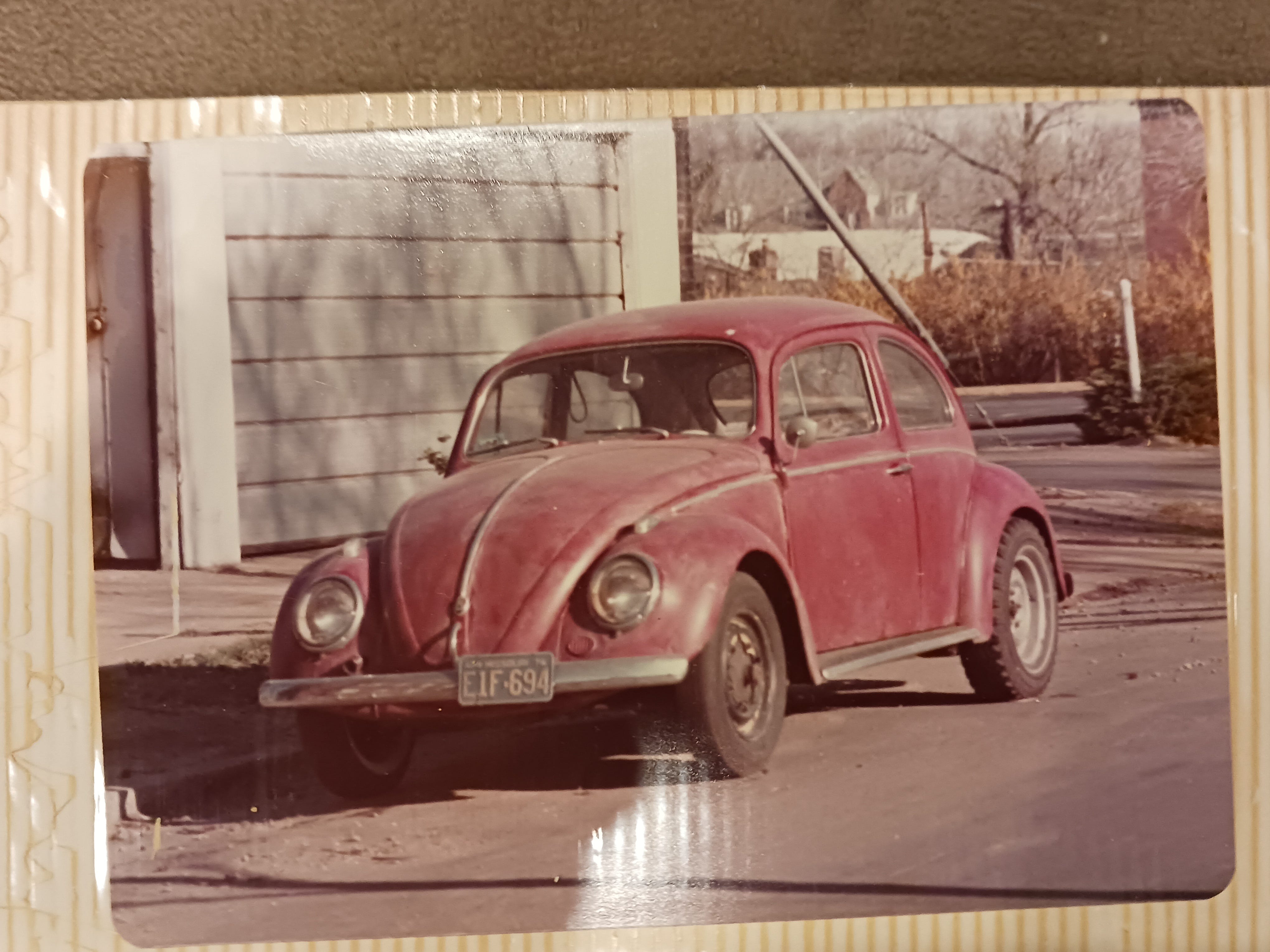 The Ultimate Beetle - by Lewis Campfield