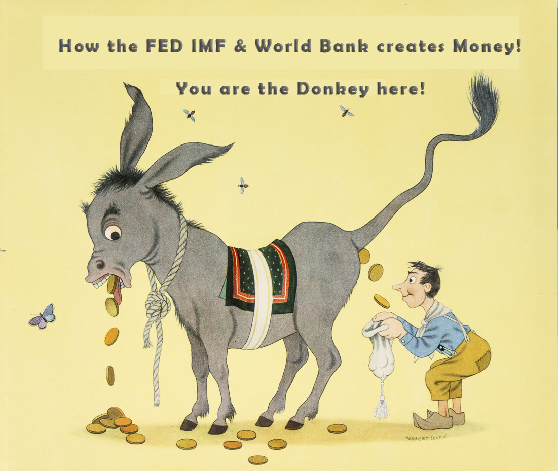 Zen Anarchy & Freedom - by Fritz Freud - Fritz’s Freud