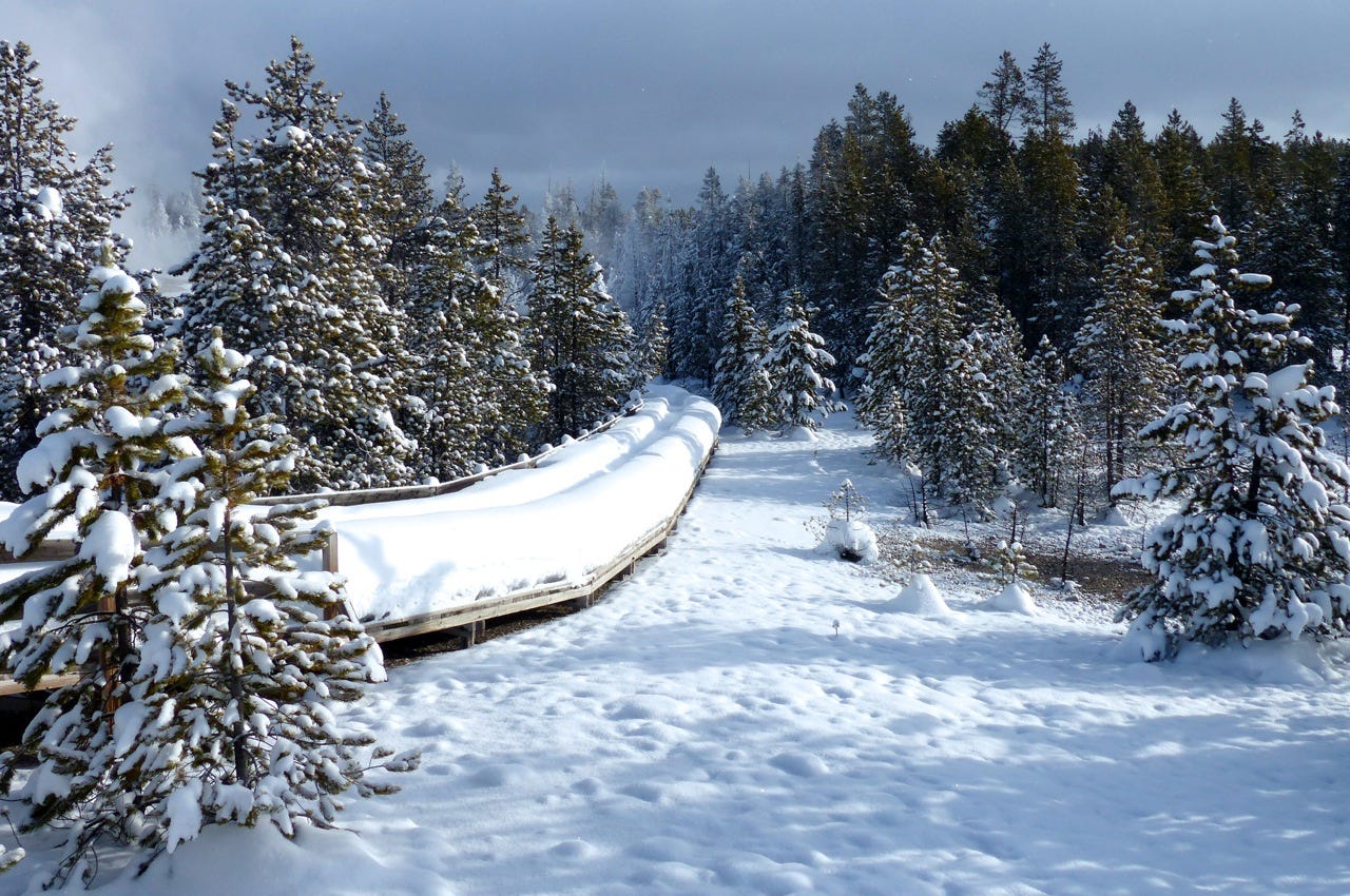 Yellowstone Beyond Winter's Gates - by Rick Lamplugh
