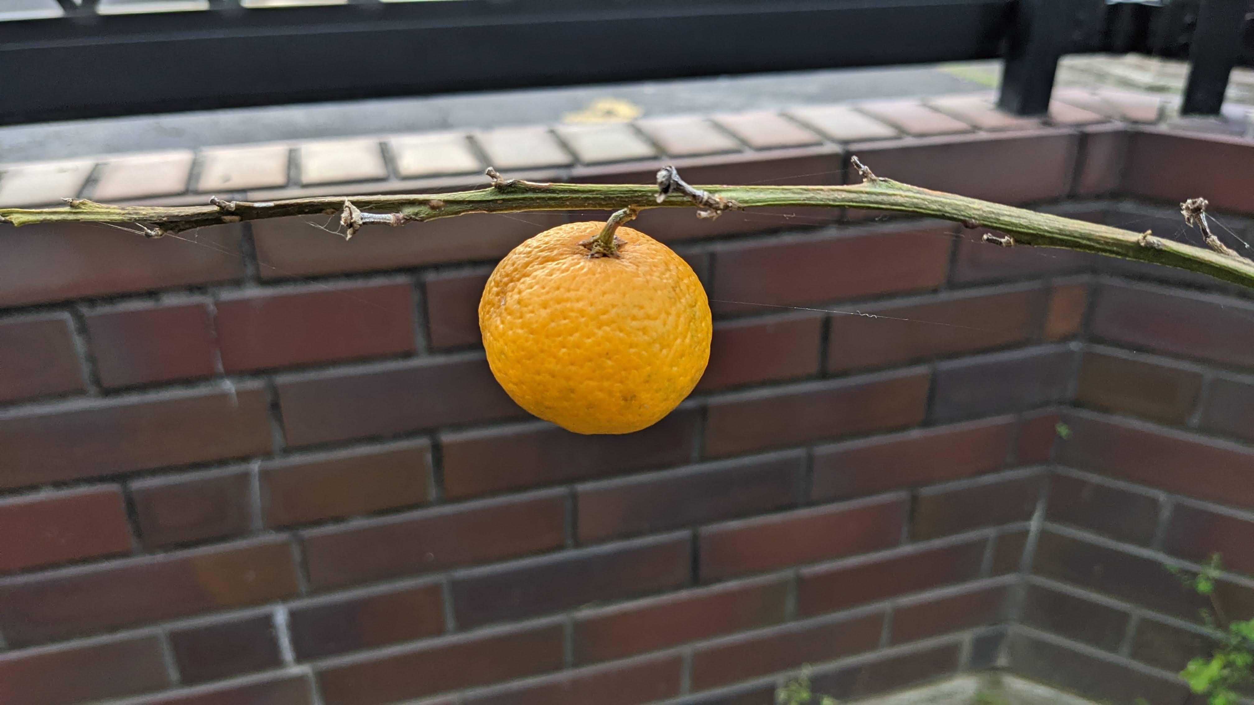 Décembre déjà... - by DavidB - Web Liminal