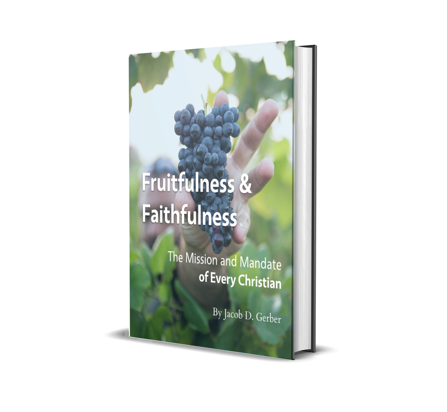 About - Two Pathways | Jacob Gerber