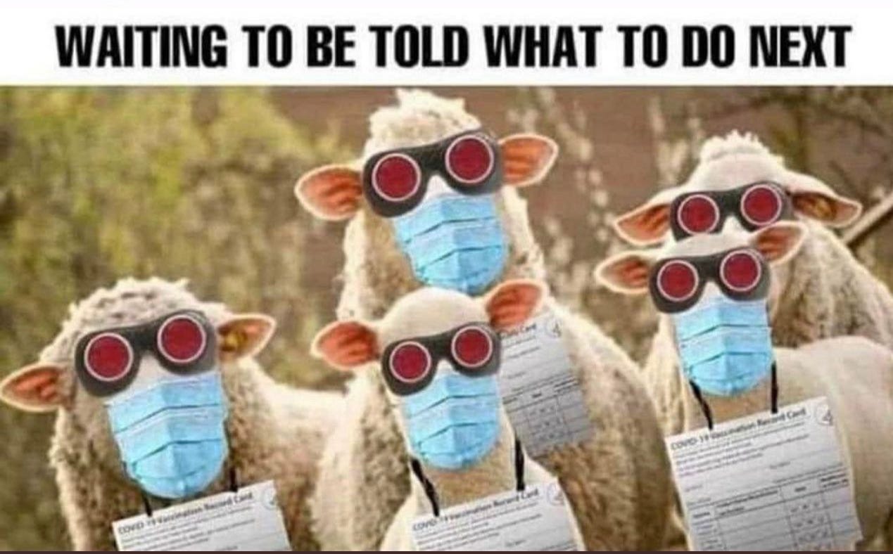Media controls the narrative