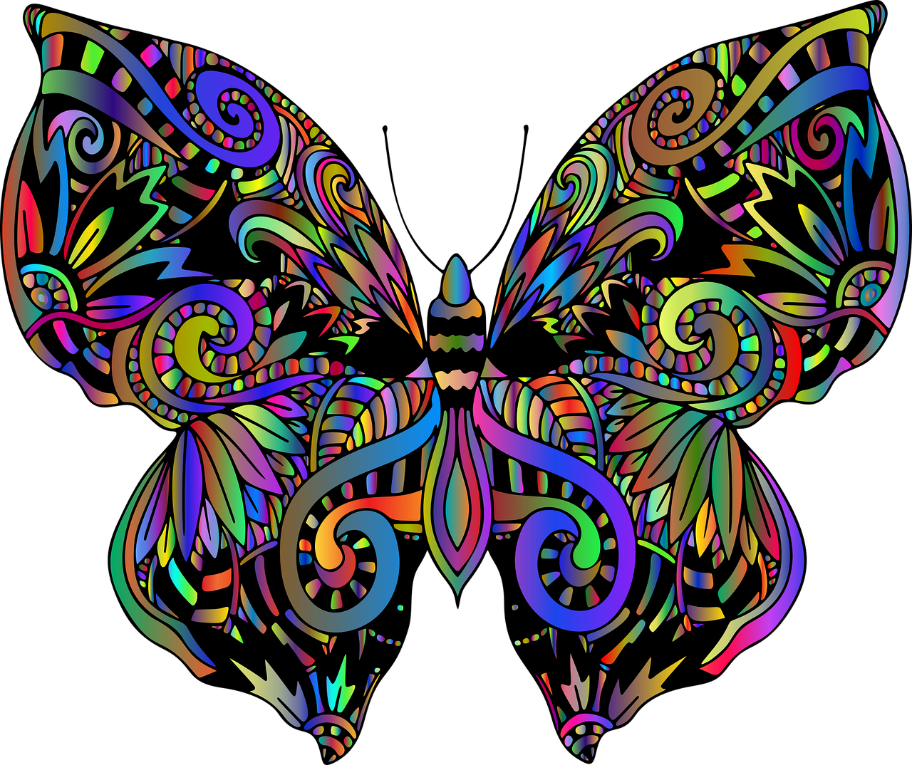 Diana Dalnes | Substack