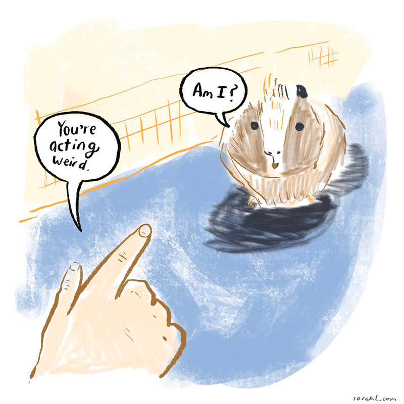 Humidity, I love thee: a comic - by Sarah Lazarovic