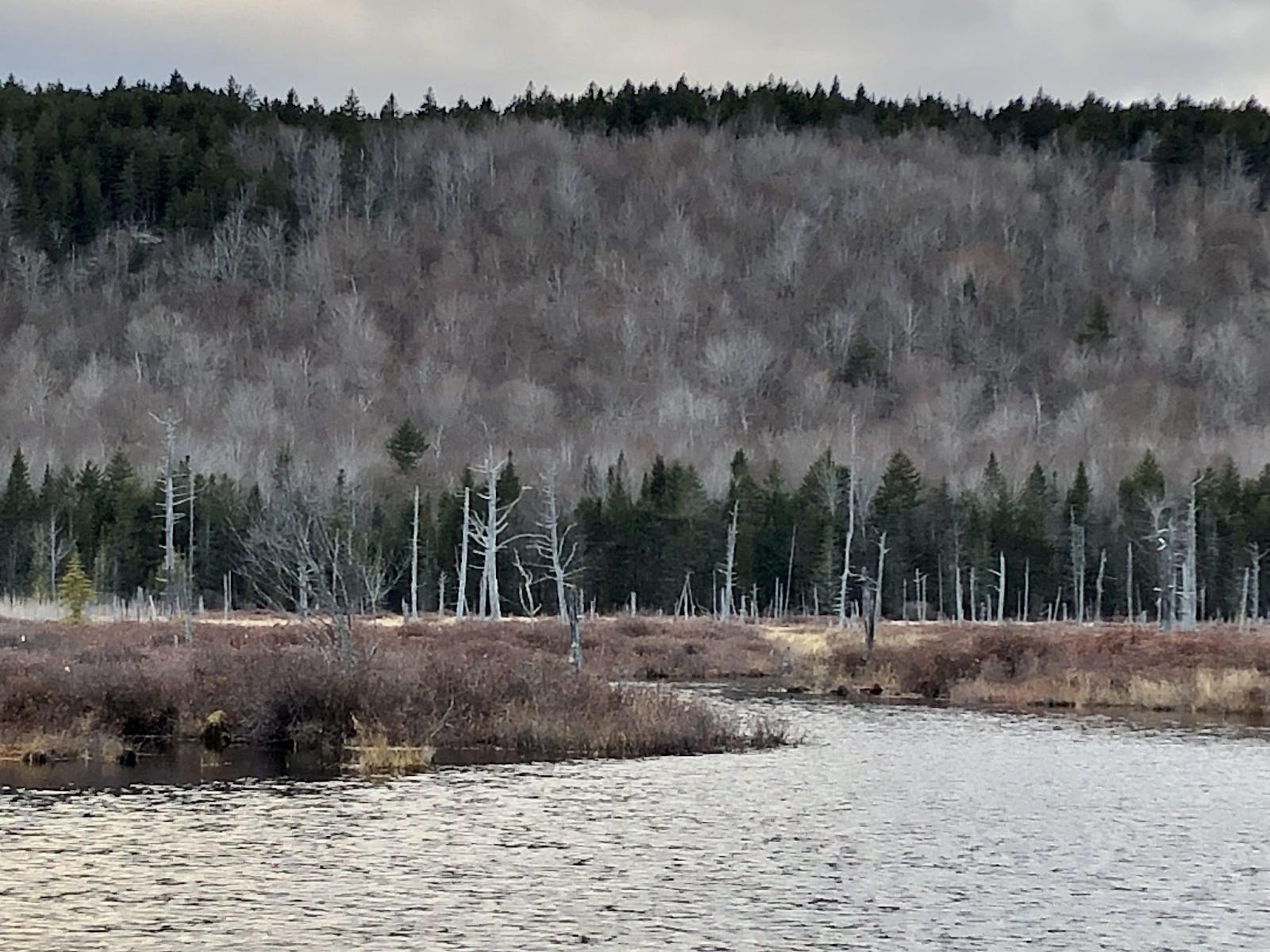 A Comprehensive History of Corbin Park - August Longpré