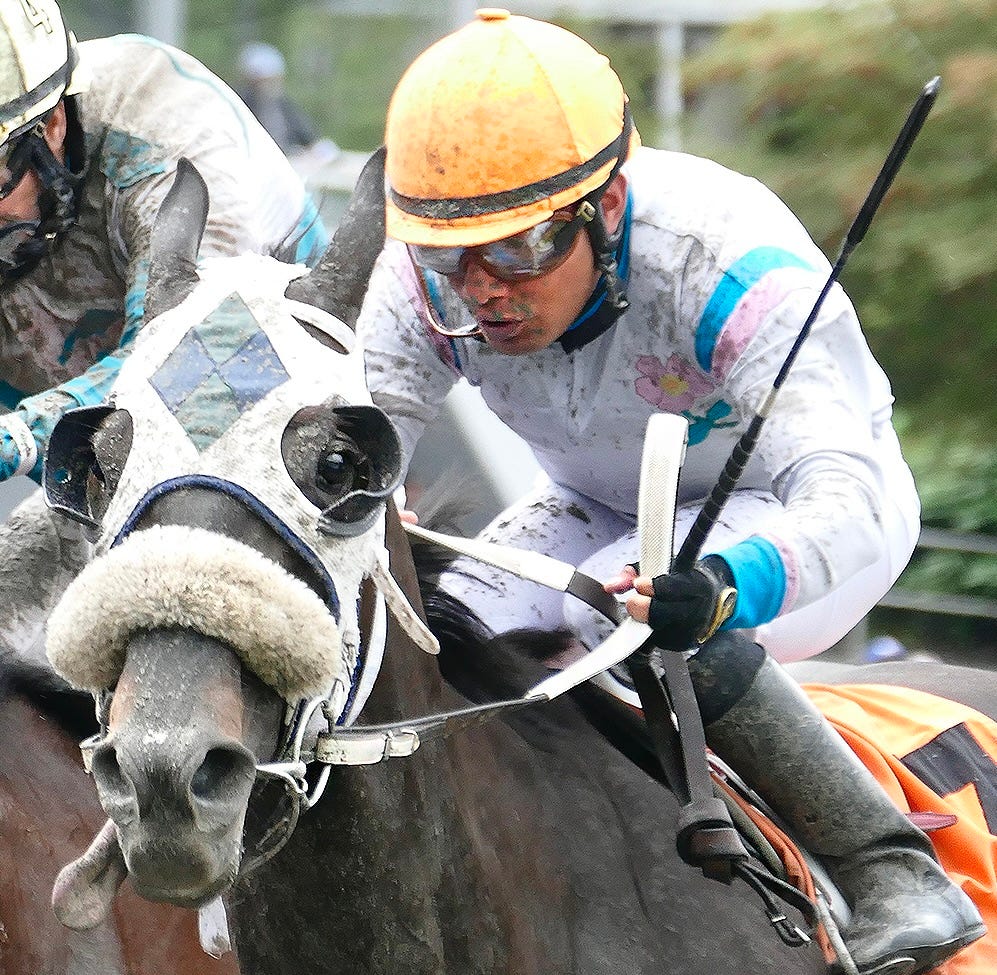Making an Impact - by Nigel Reid - Horseracing BC