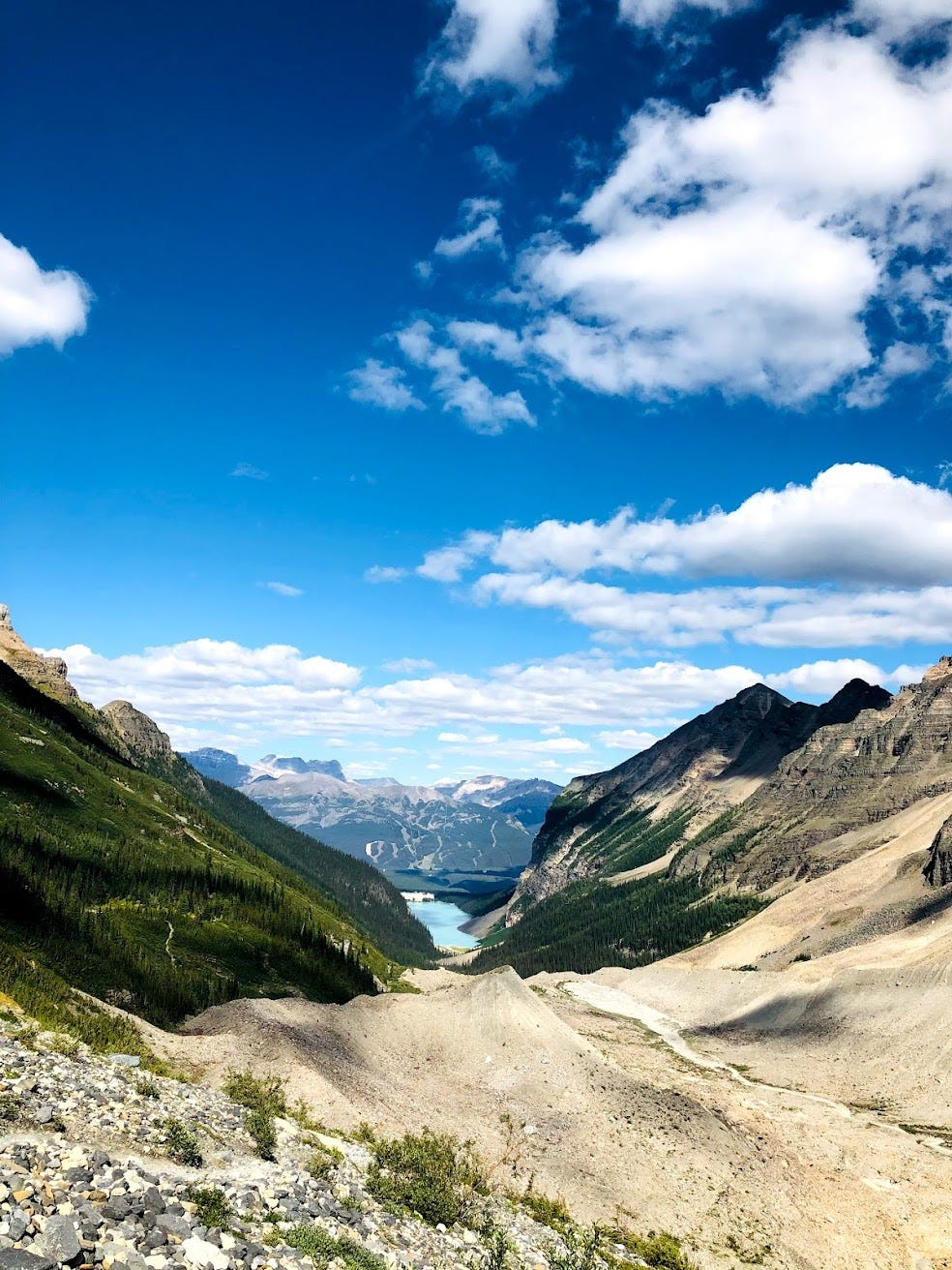 summer letters - banff edition - by Clarence Yeung