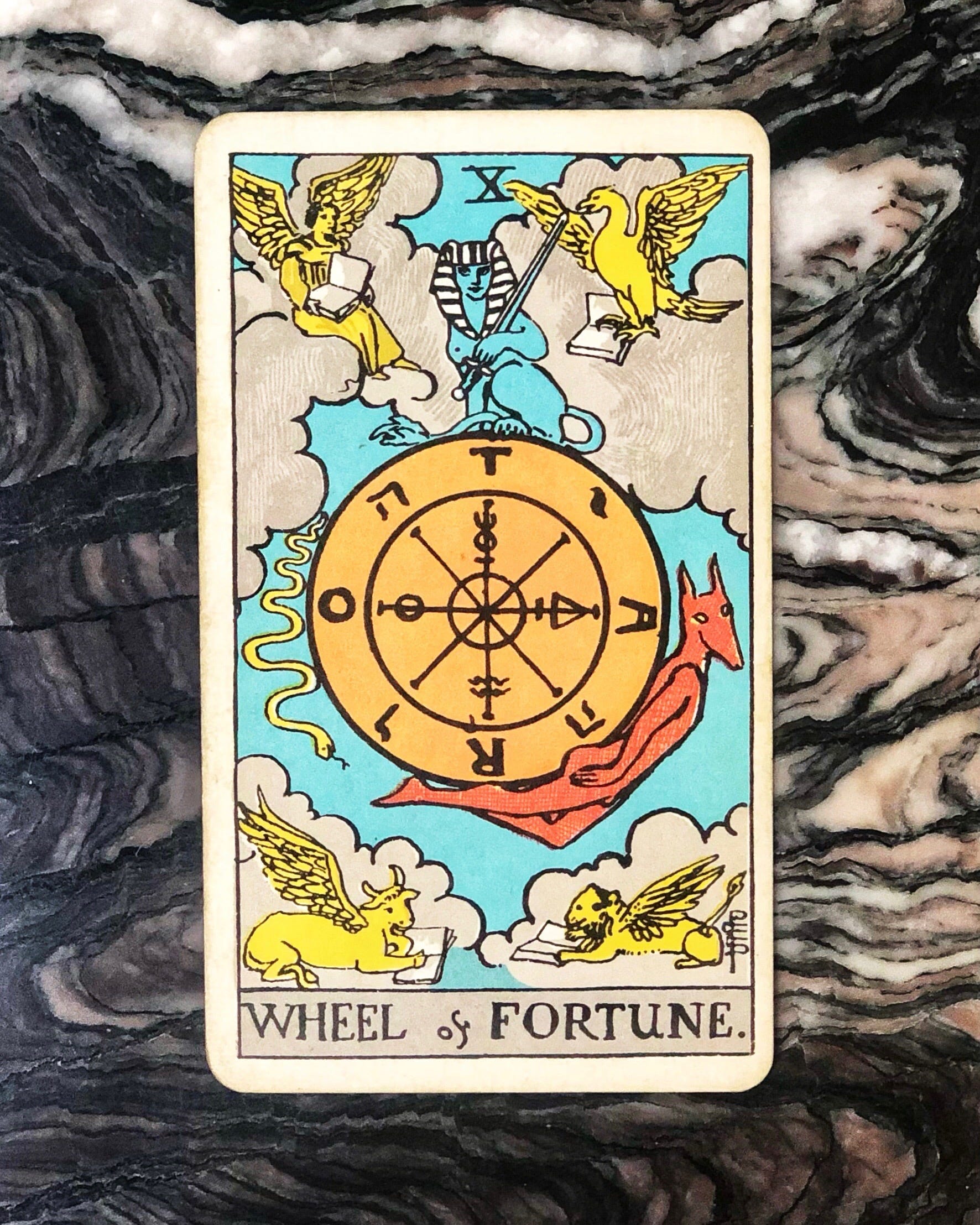 A Tarot Reading with Caroline Cala Donofrio