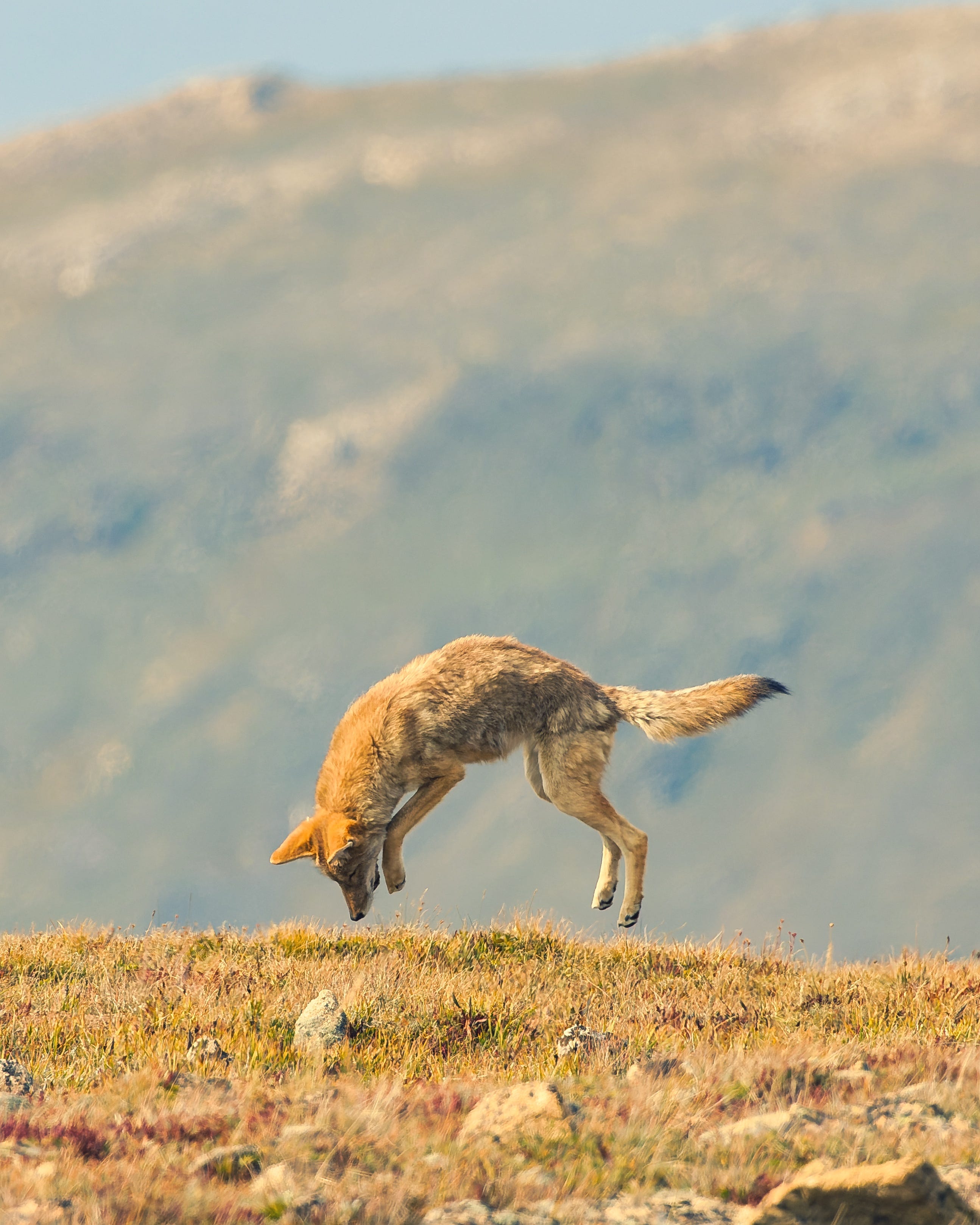 Photographer Kevin Benes - by Jason VanTatenhove