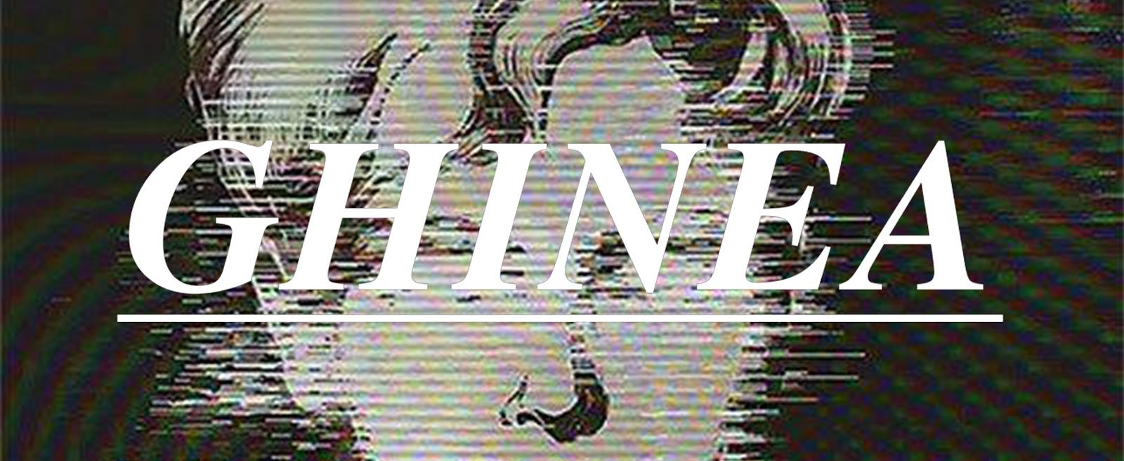 Speciale Ghinea #7: intervista a Nina Ferrante - Ghinea