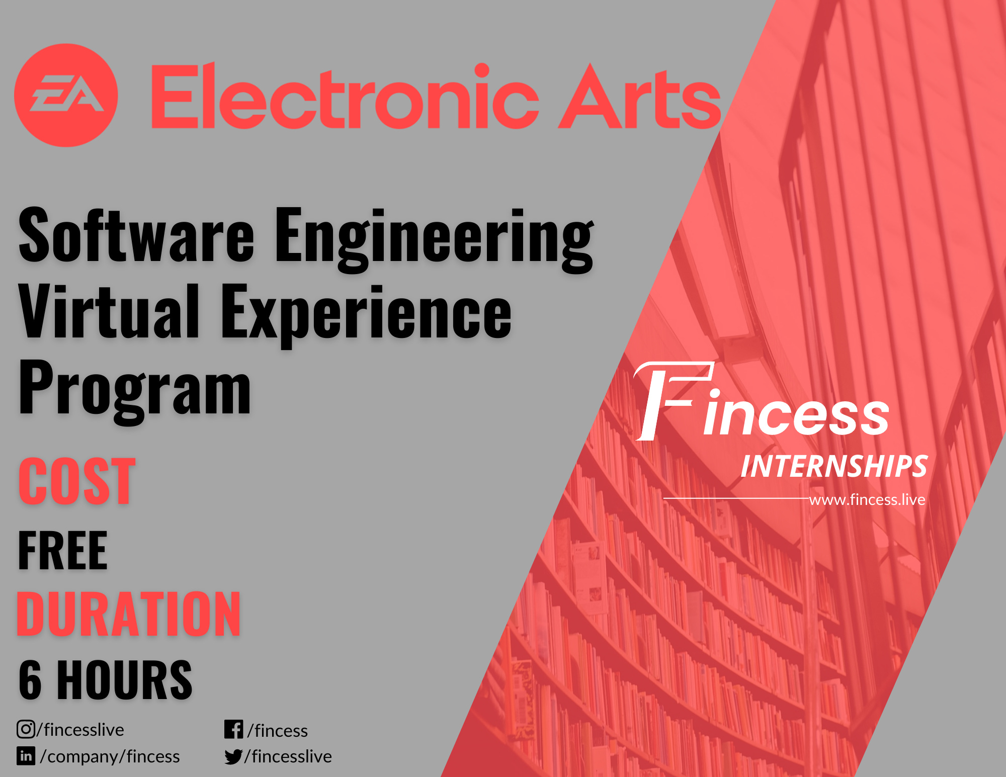 Top 5 Virtual Internships For College Students🧐