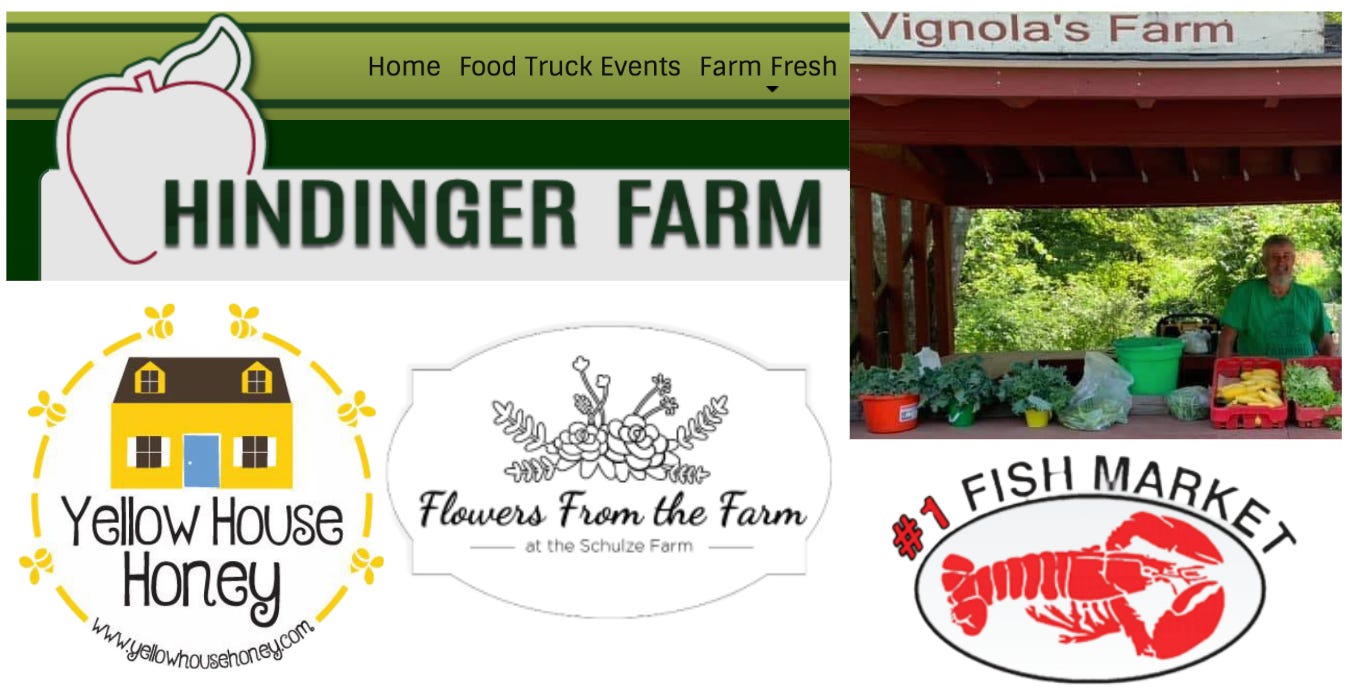 August 19-26 in Hamden* - This Week in Hamden*