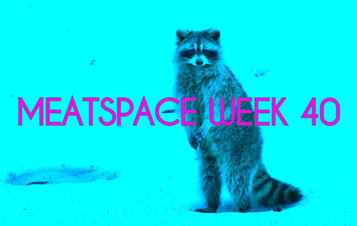 Mod Save America - Meatspace