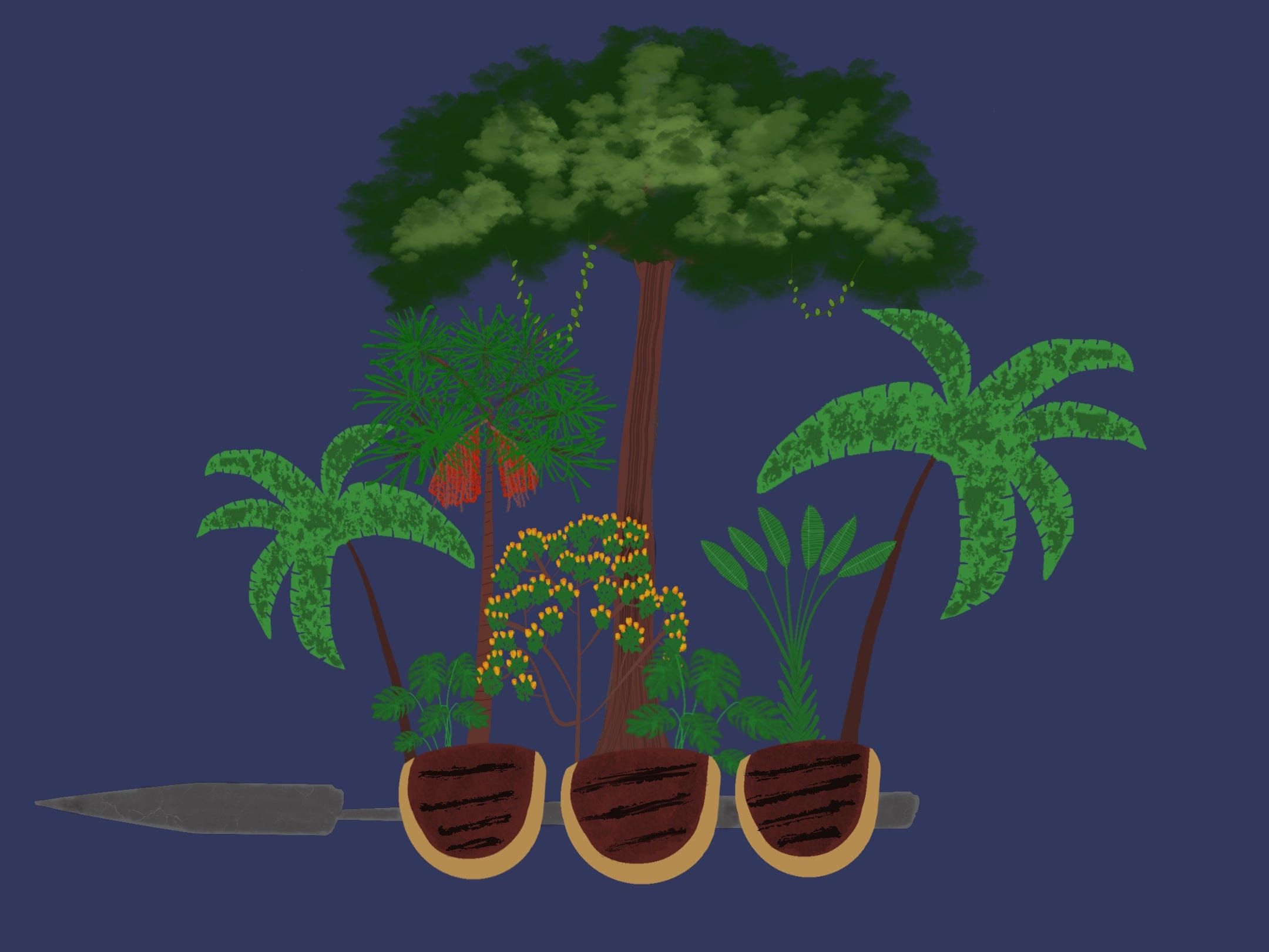 Beyond the Brazilian Steakhouse - by Nicholas Gill