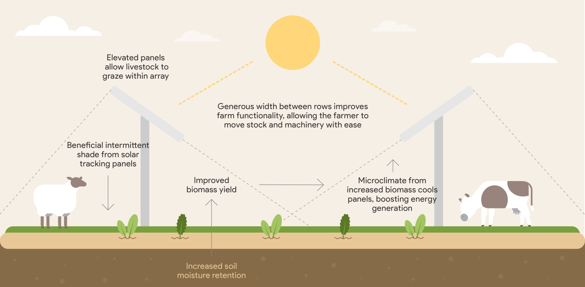 🌞 Agrivoltaics: Solar farming our way out of a climate crisis
