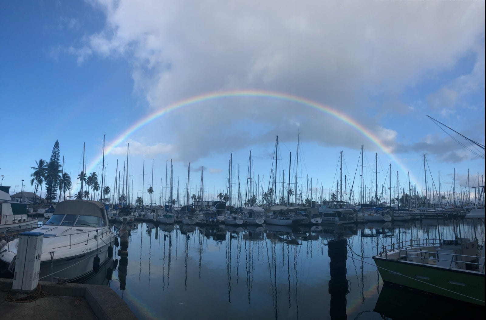 Create a Loving Environment - by Cindy Wendland