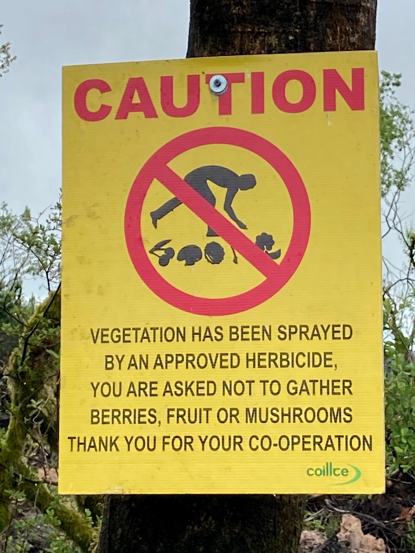 Glyphosate: Time to ditch it? - by Ellie O'Byrne