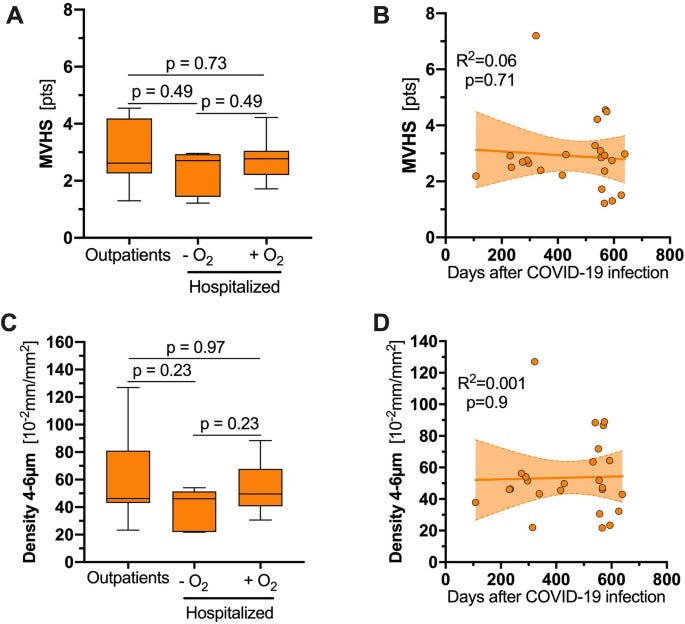 Persistent capillary rarefication in long COVID syndrome