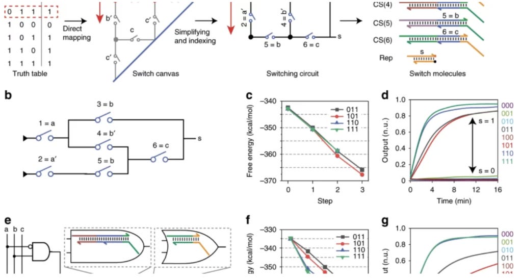 Self Assembly Of Dna Crystals Mik Andersen