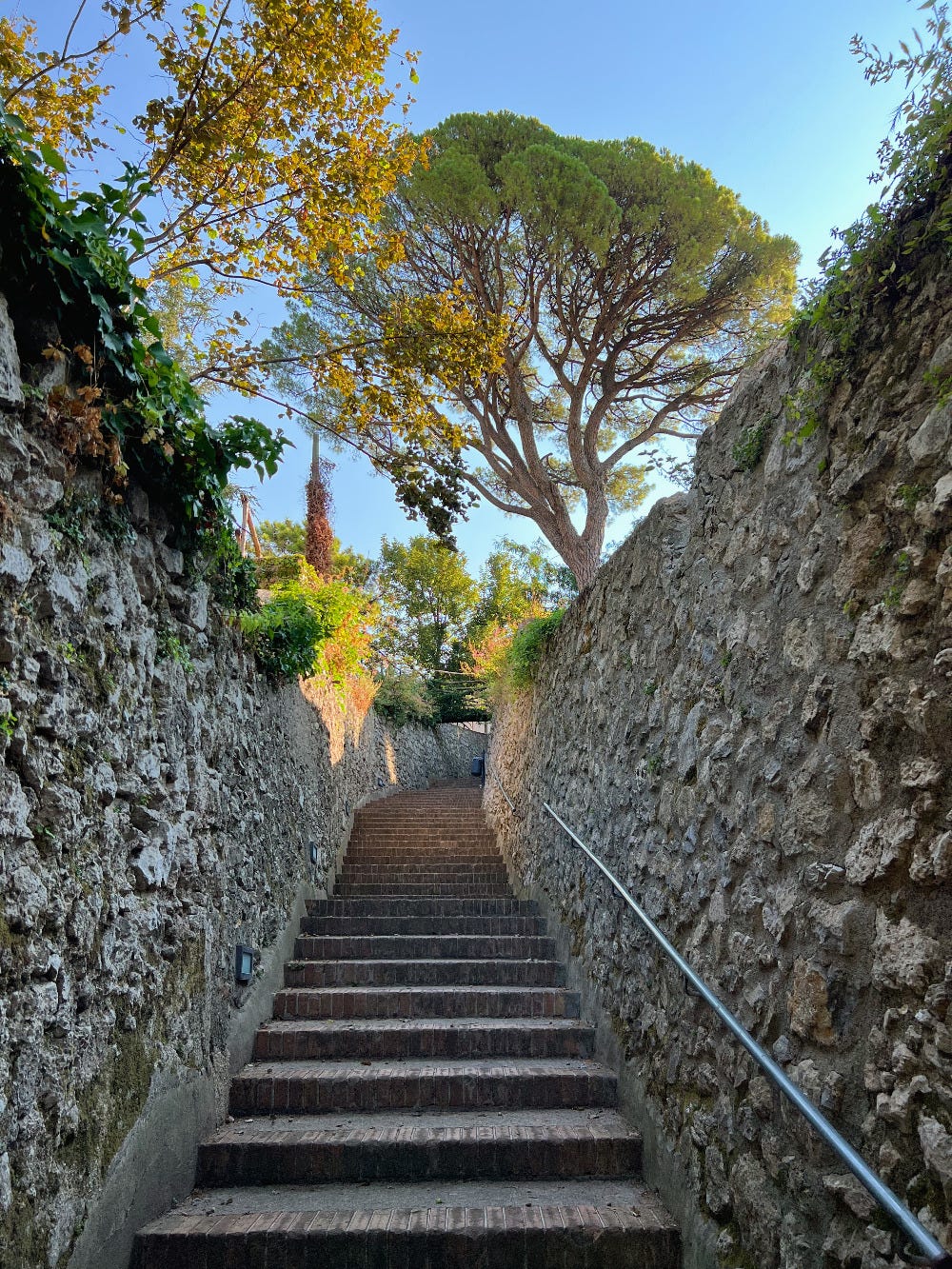 Ciao Amalfi Newsletter - November 2022 - by Laura Thayer