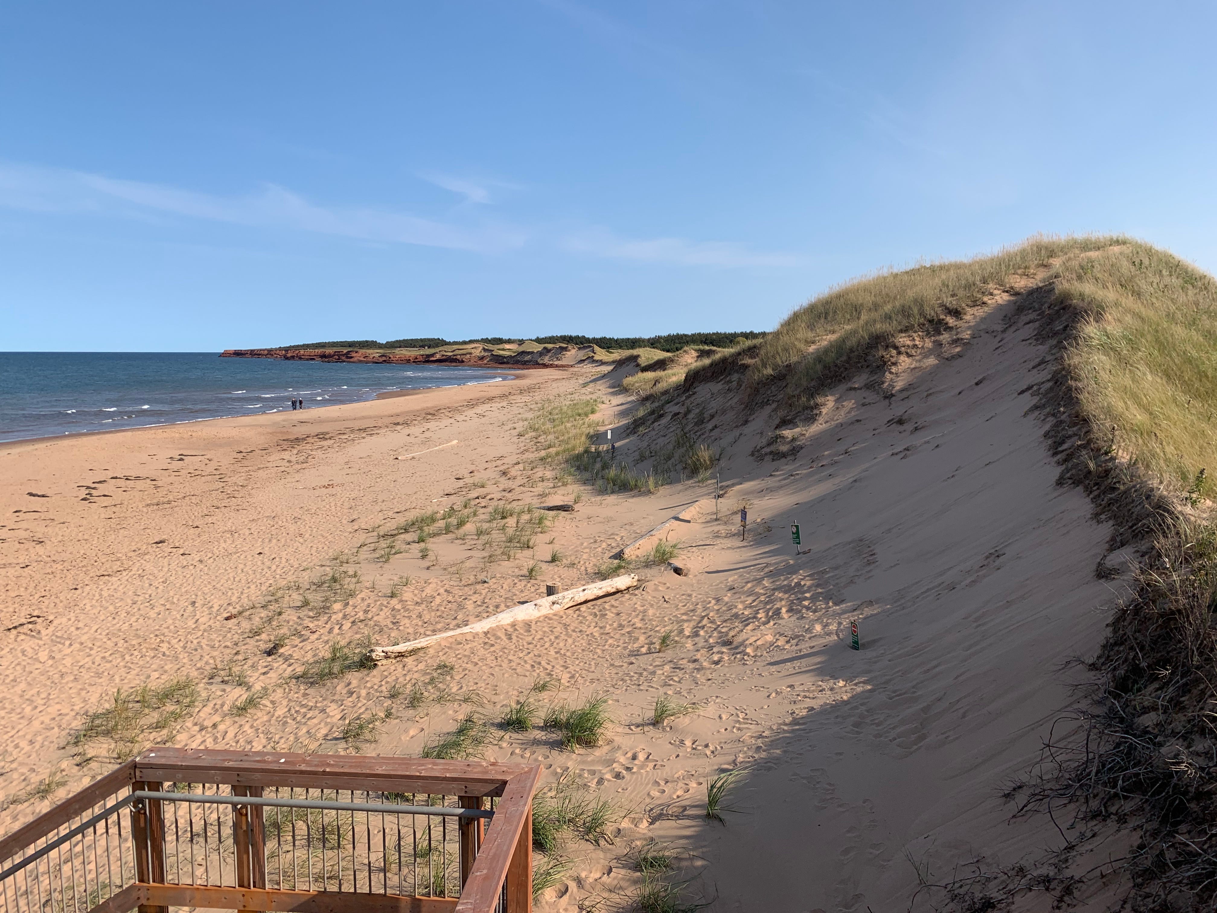 Cavendish Beach. - by Rick Gallant - Island Notes