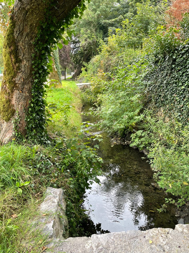 Where we visit Galway City, Loughrea, and Portumna