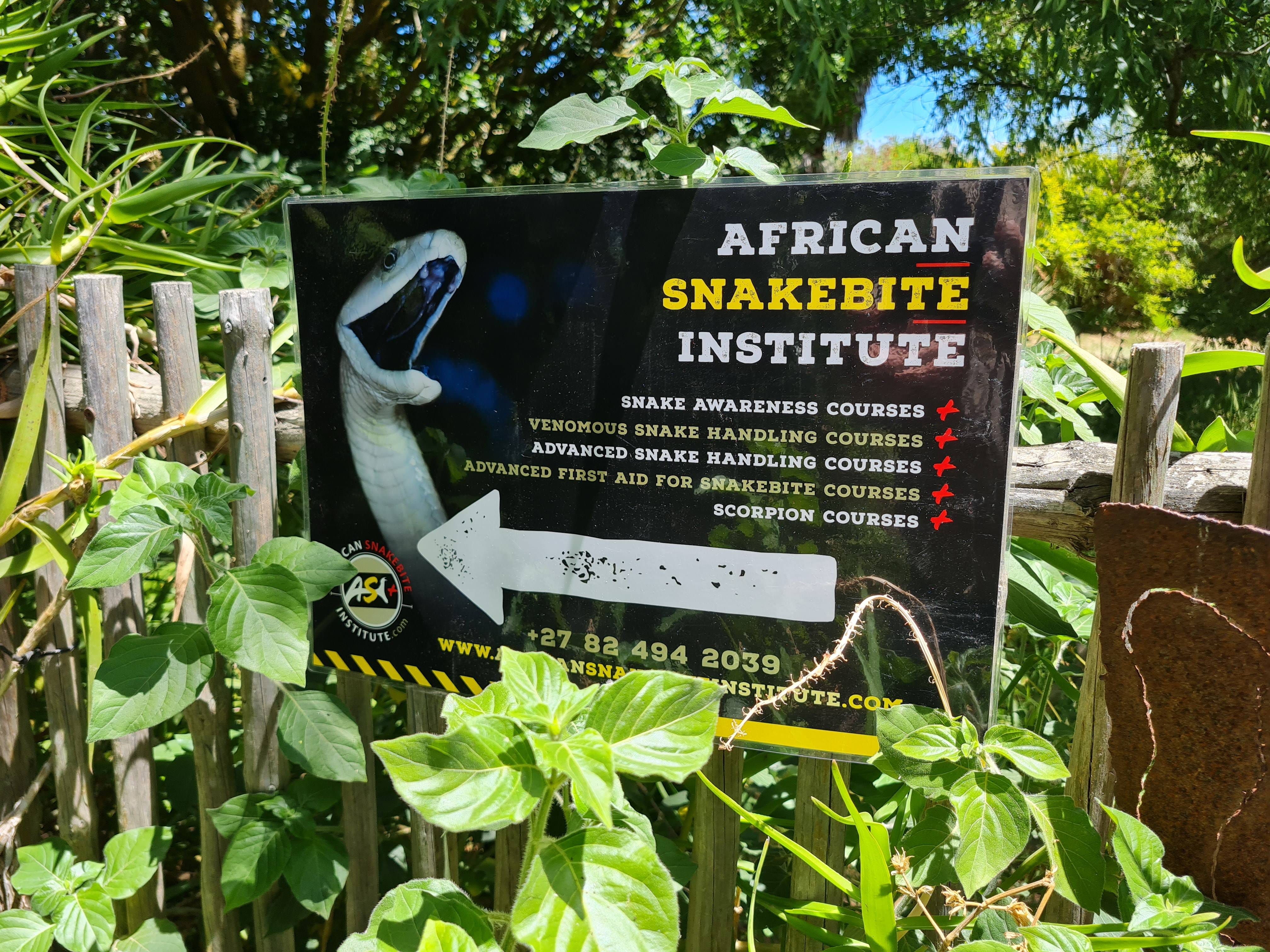 ASI Snake Handling Bootcamp Course in Cape Town