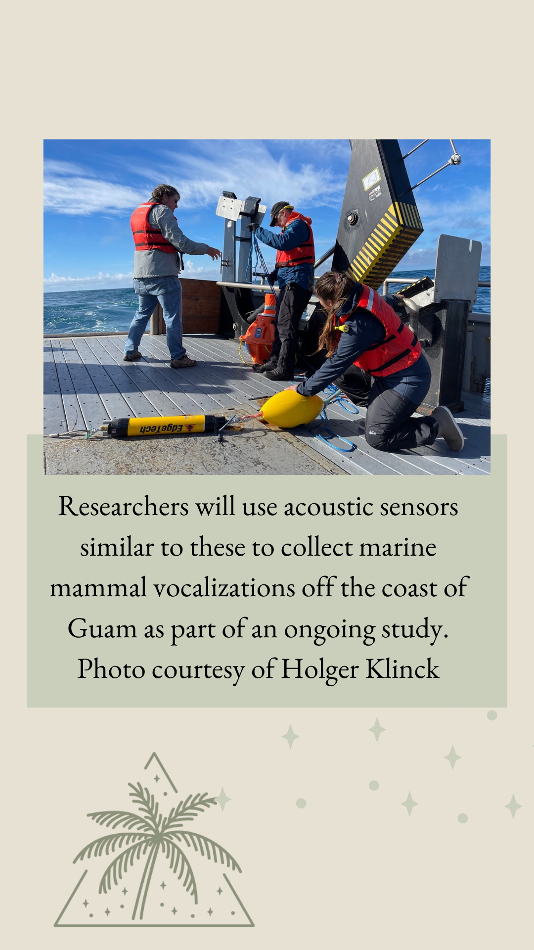 Researchers to record beaked whales around Guam