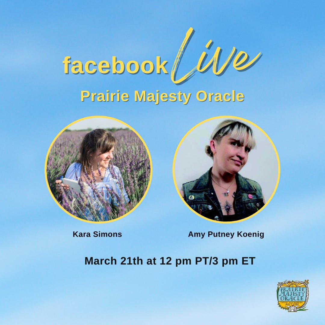 Meditation Gift - by Kara Simons | Joyful Resonance