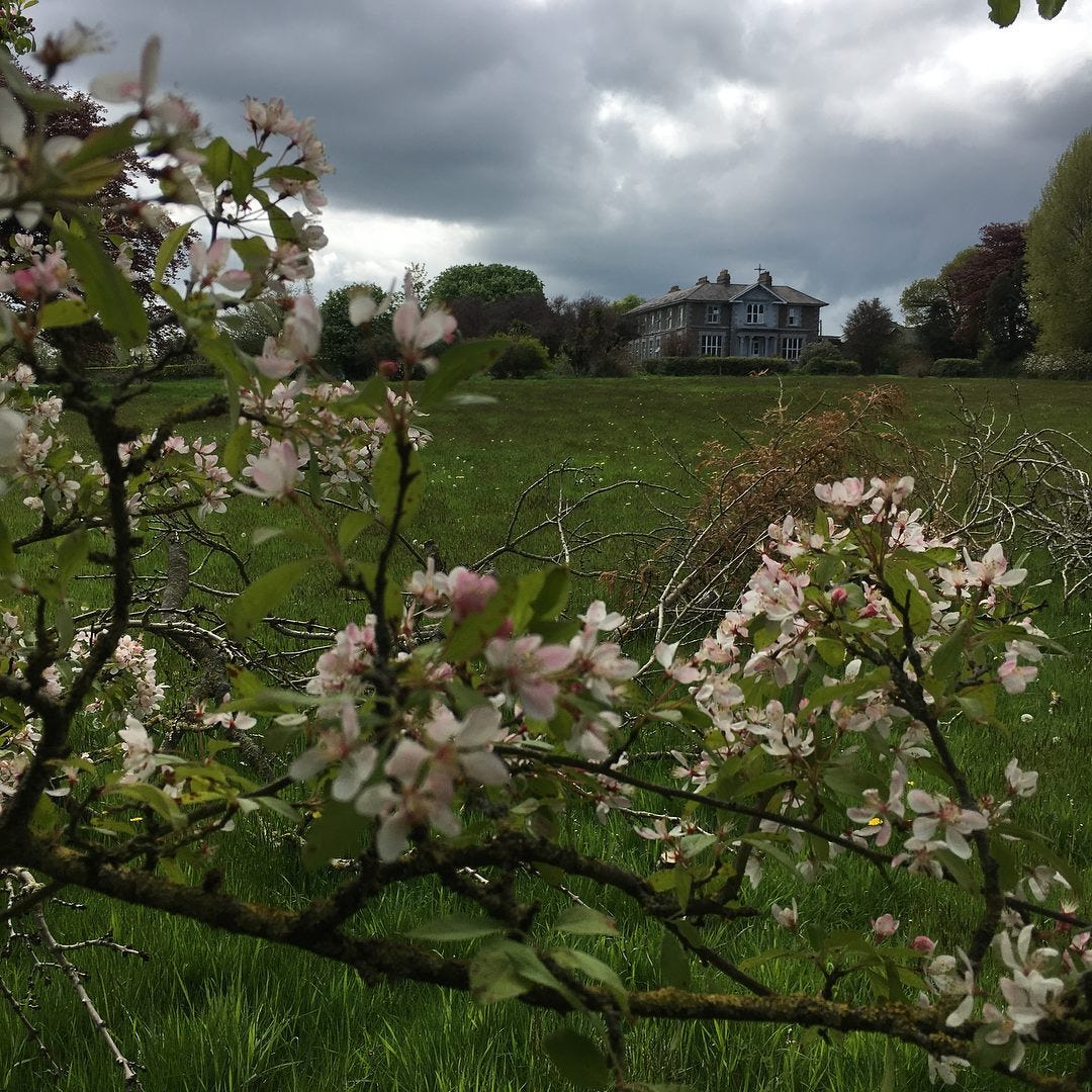Monk alleges abuse - and retaliation - at Silverstream Priory