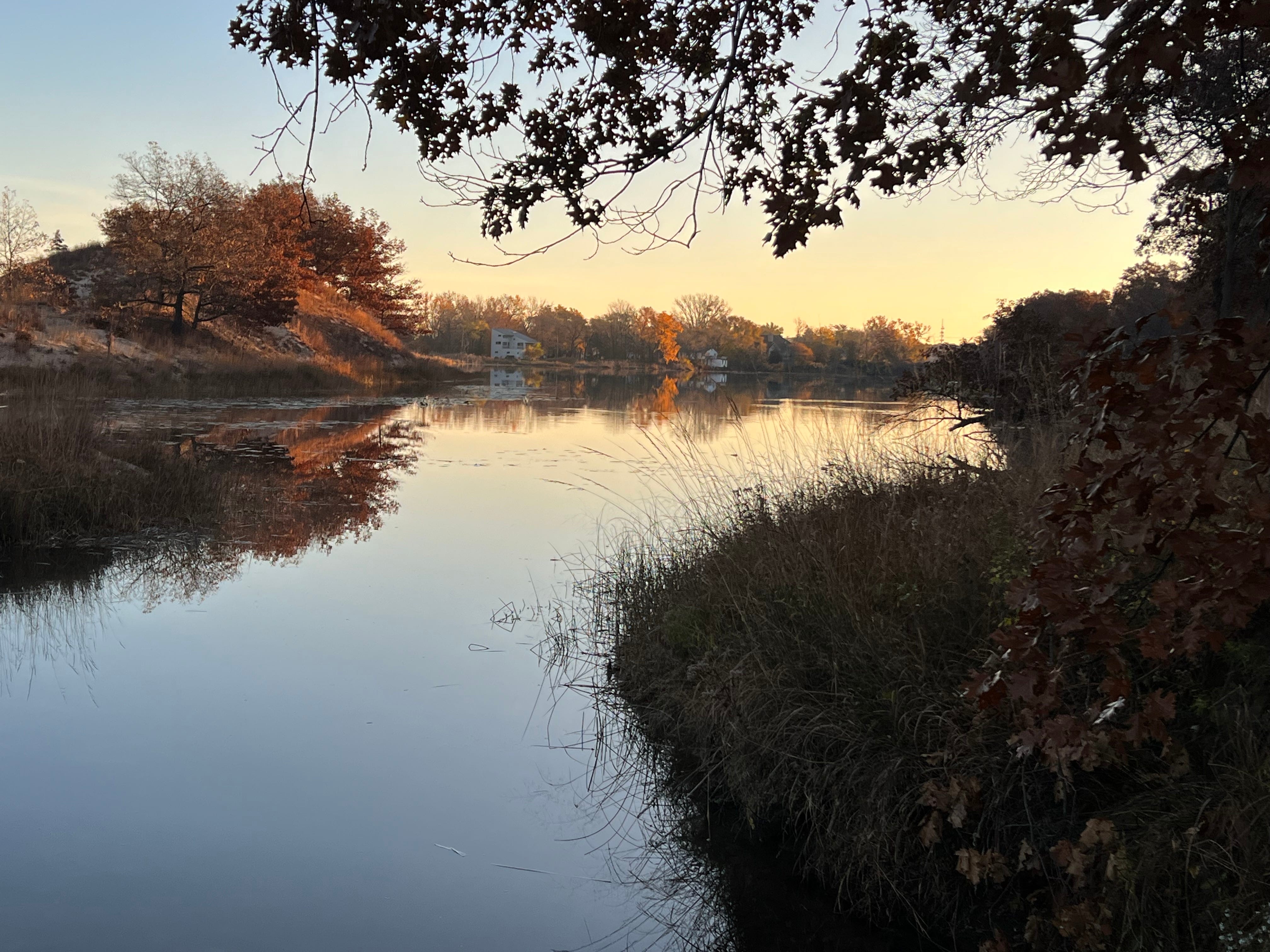The Top Miller Beach Dune Hike: "Miller Woods"