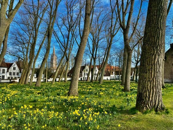 Context - Reizen met Richard