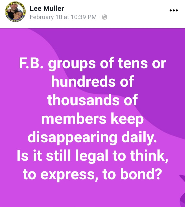 FRREEEEEE-DOMMMMMMM! - Lee Muller’s In Plainsight is 20/24