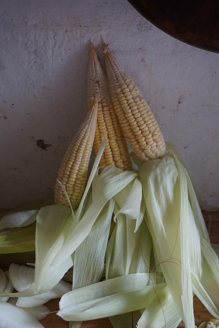 On Corn 🌽 - From the Desk of Alicia Kennedy