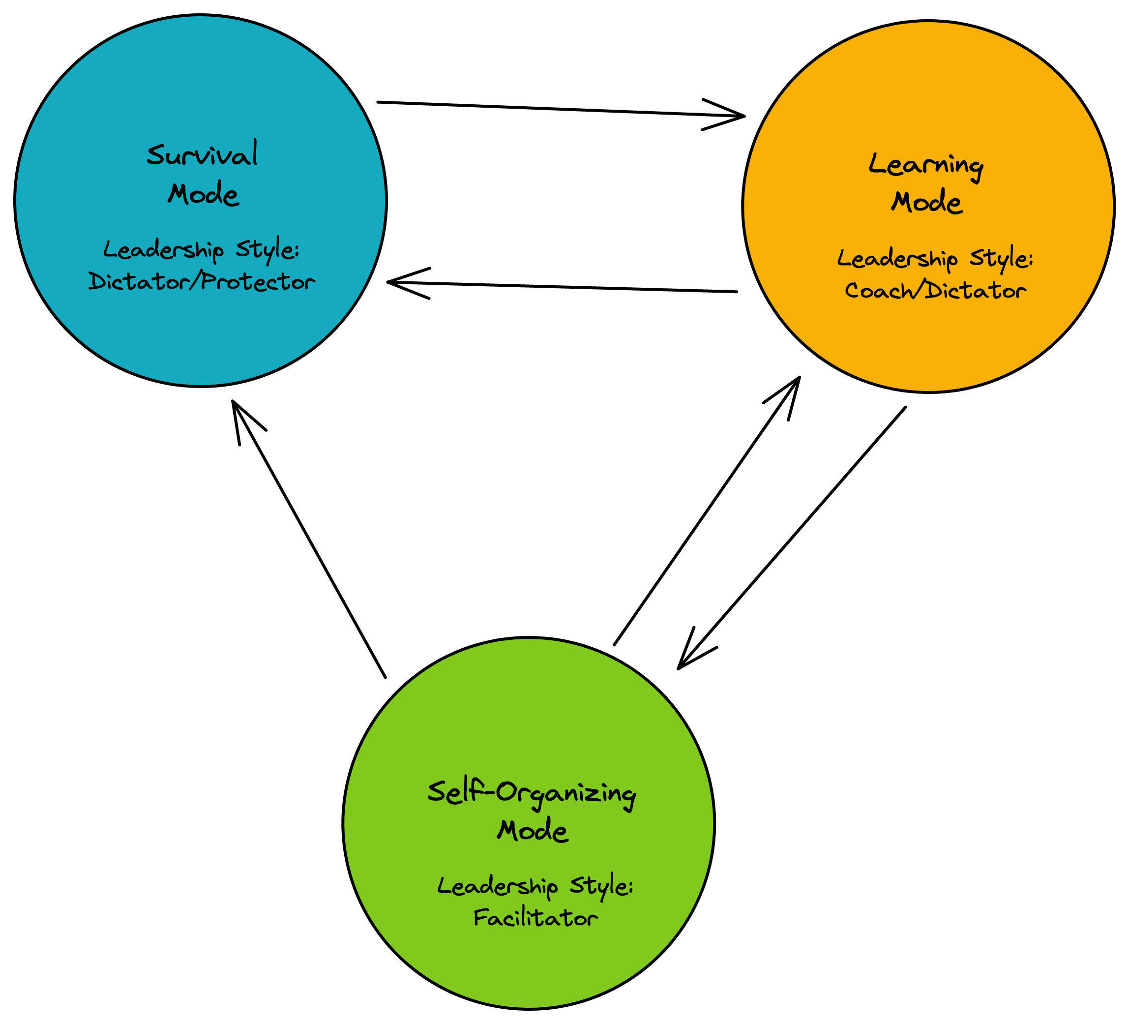Why your leadership style should adapt to the team needs
