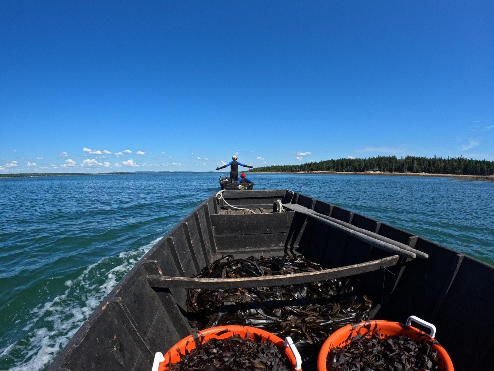 Book People - by Jessie Waters and DB - BANHE