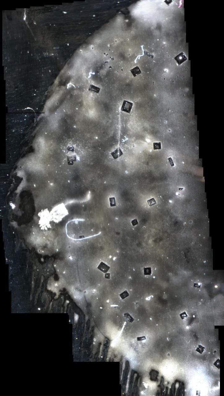 Irrefutable Proof of Self Assembly Structures in C19 Shots - Time Lapsed Videos Show Microchip ...