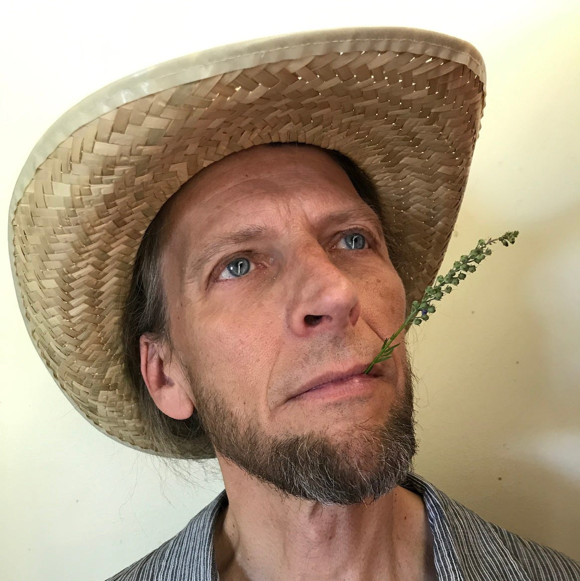 Artful Monk | Substack