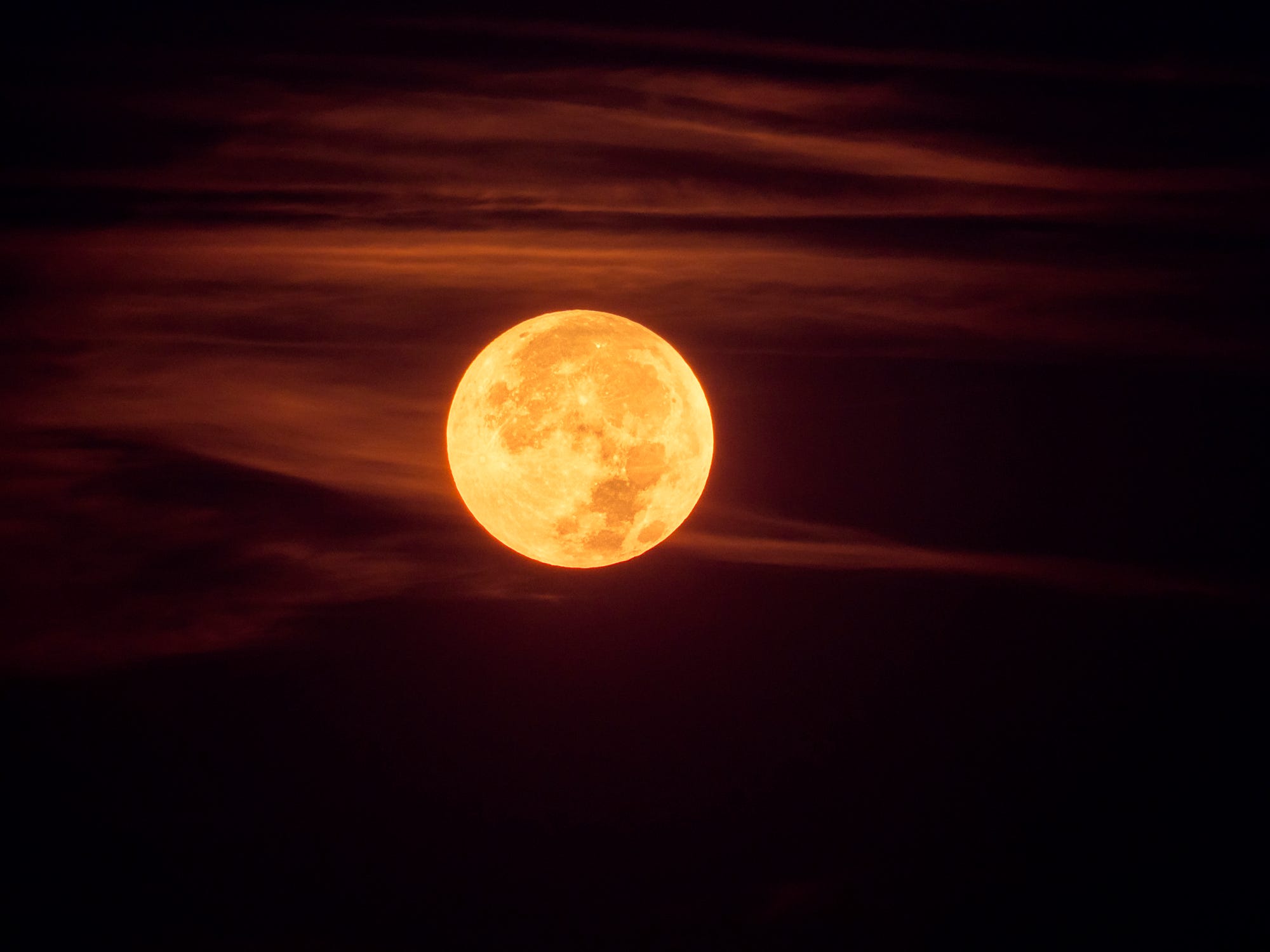 Poetry Divination for Libra Season: Rebecca Tamás version