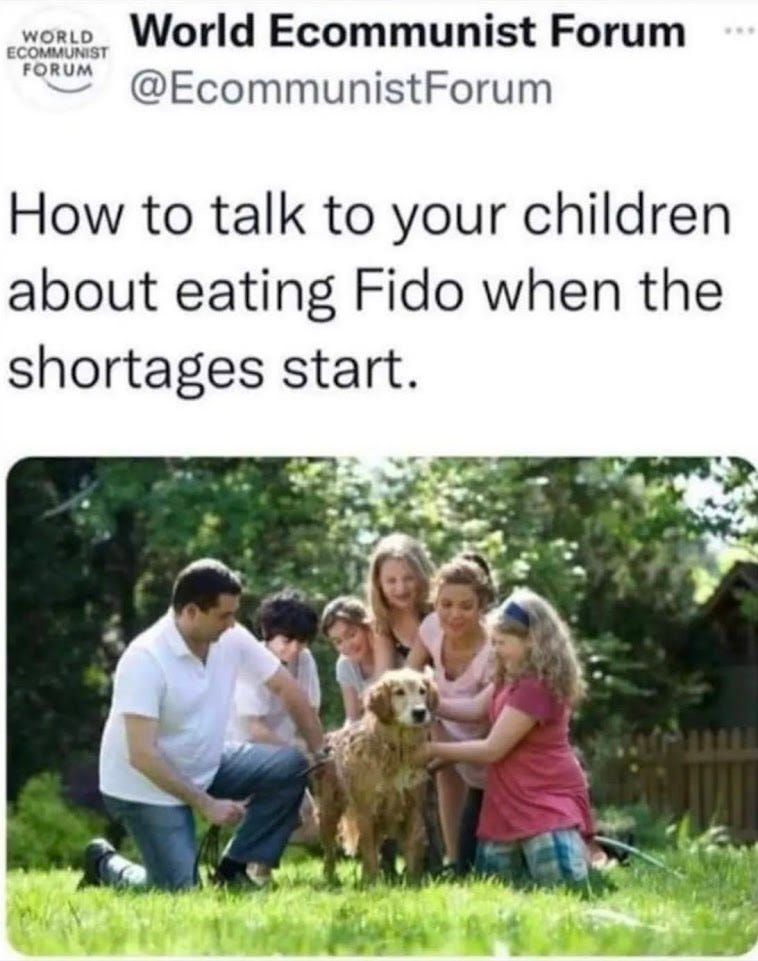 Potent Meme Collection #1 - by Adam Sharp - Convivium