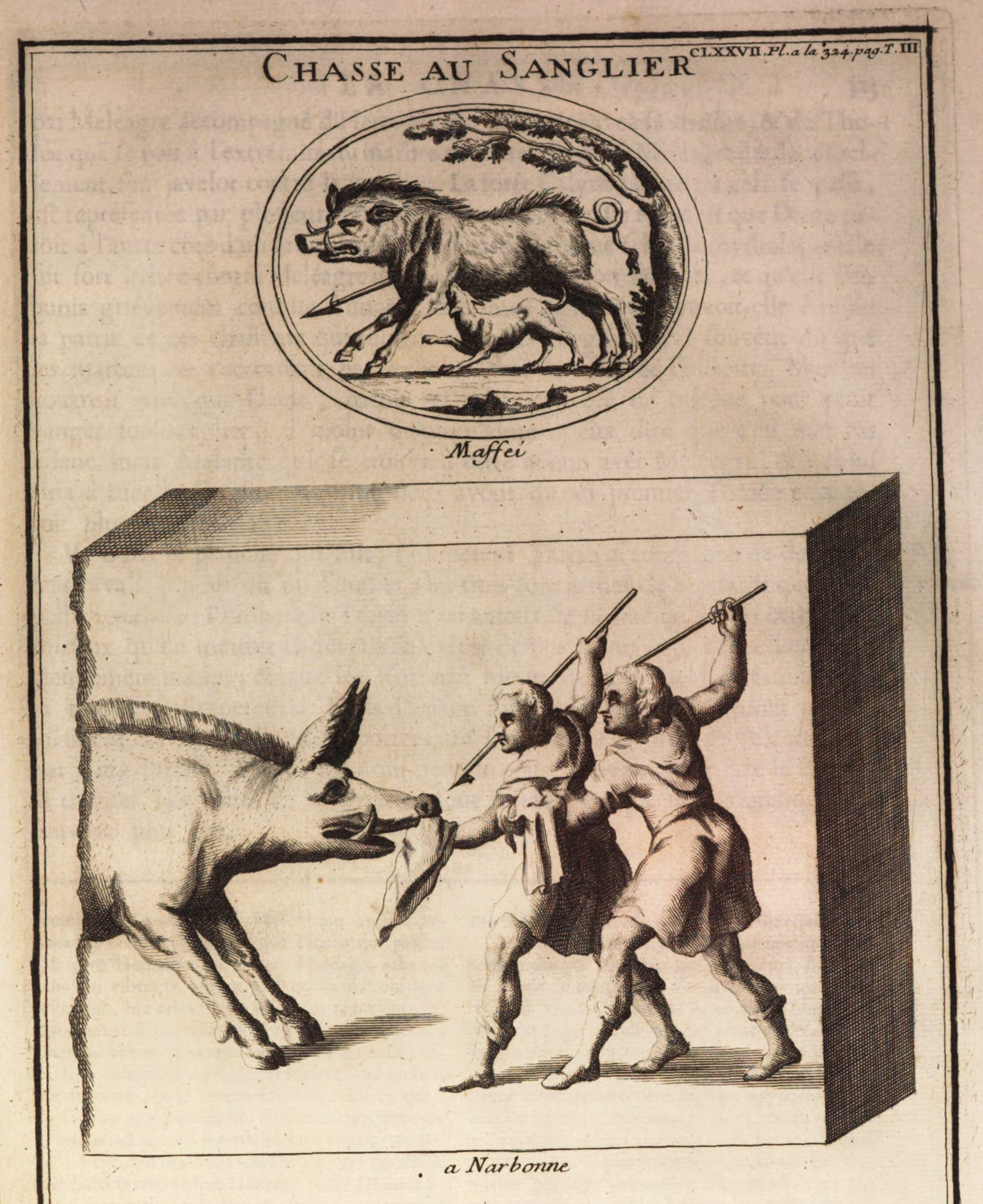 The Boar of Butrint - EpiriHelen’s Newsletter