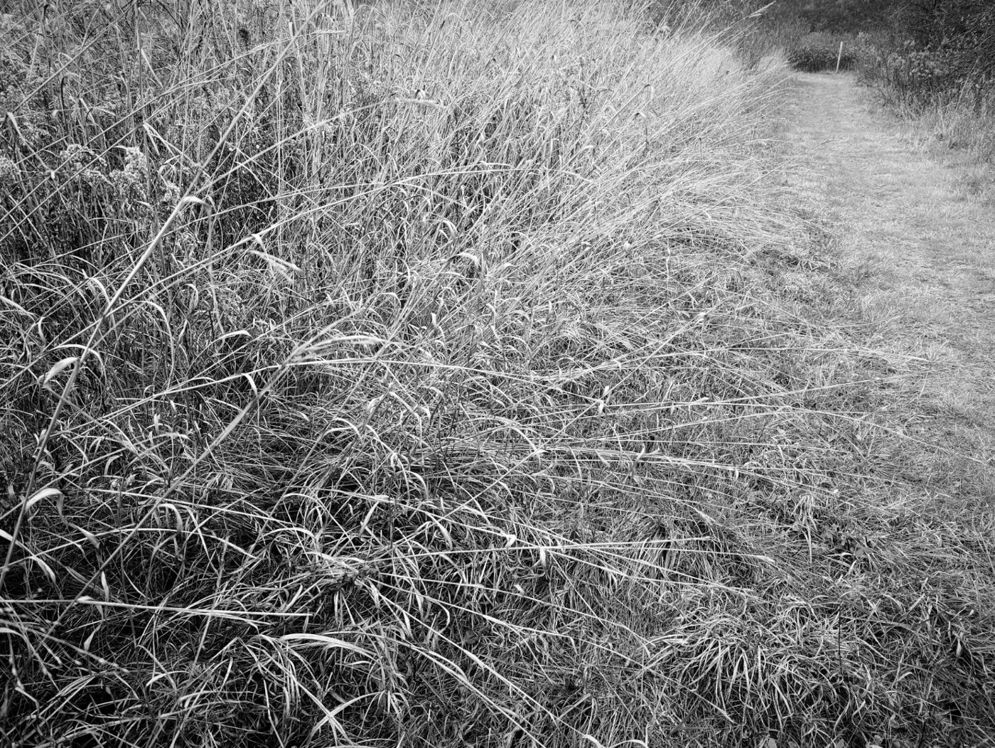 Snapshots of Long Sault Conservation Area Between the Fall & Winter Time