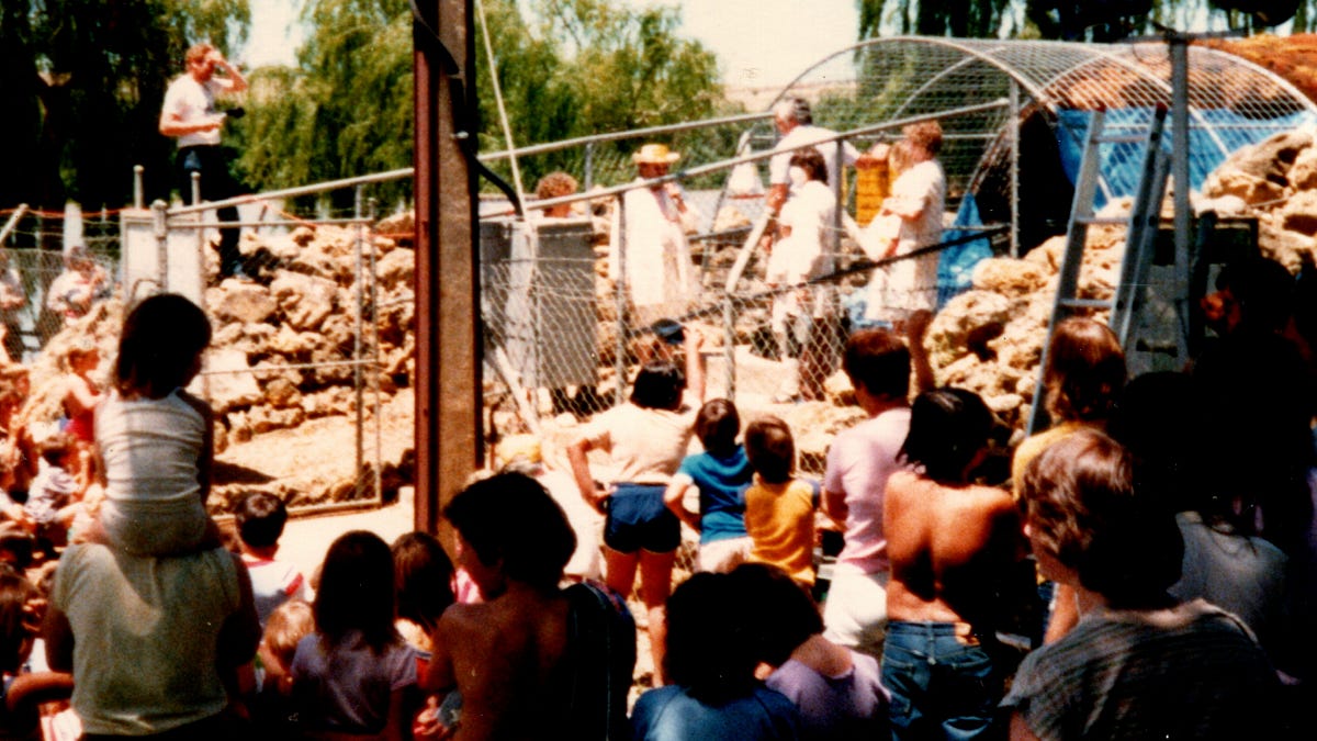 Murray Bridge bunyip at 50: How Dennis Newell’s monster became an icon