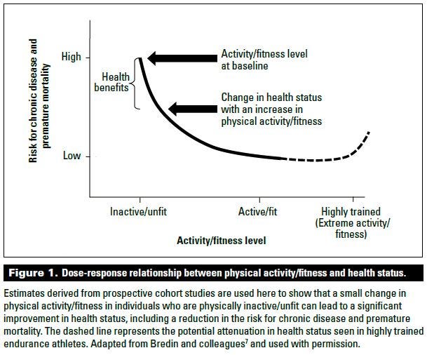 Levels of Physical Activity: Are You Exercising or Training?