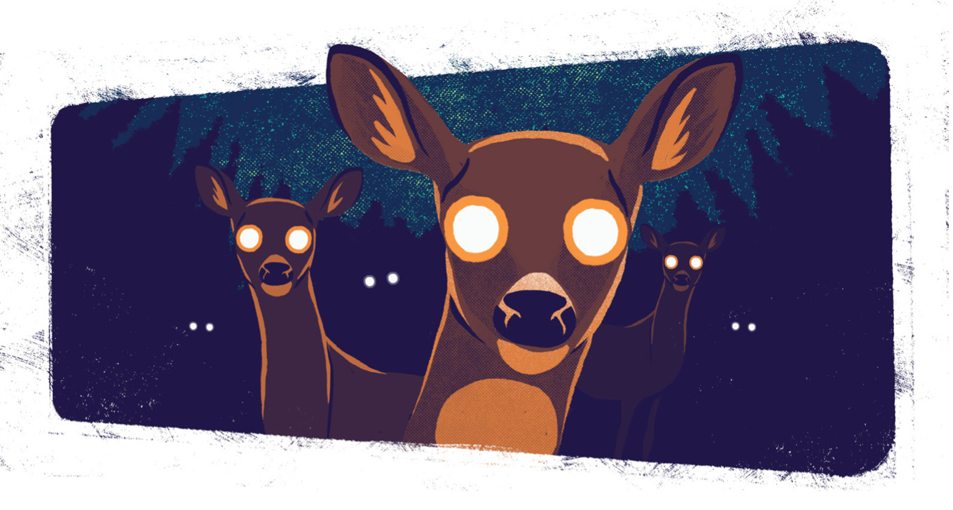 I used to think deer were SUPER BORING - by Jason Bittel