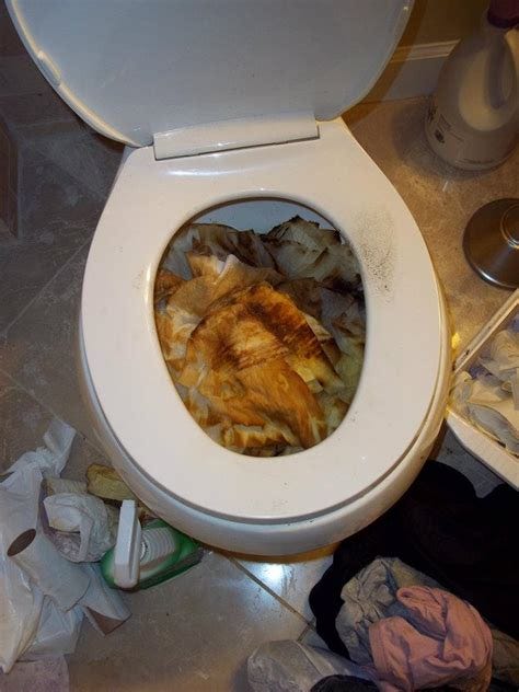 Death and Excrement falling, drop & plop - Gun’s Newsletter