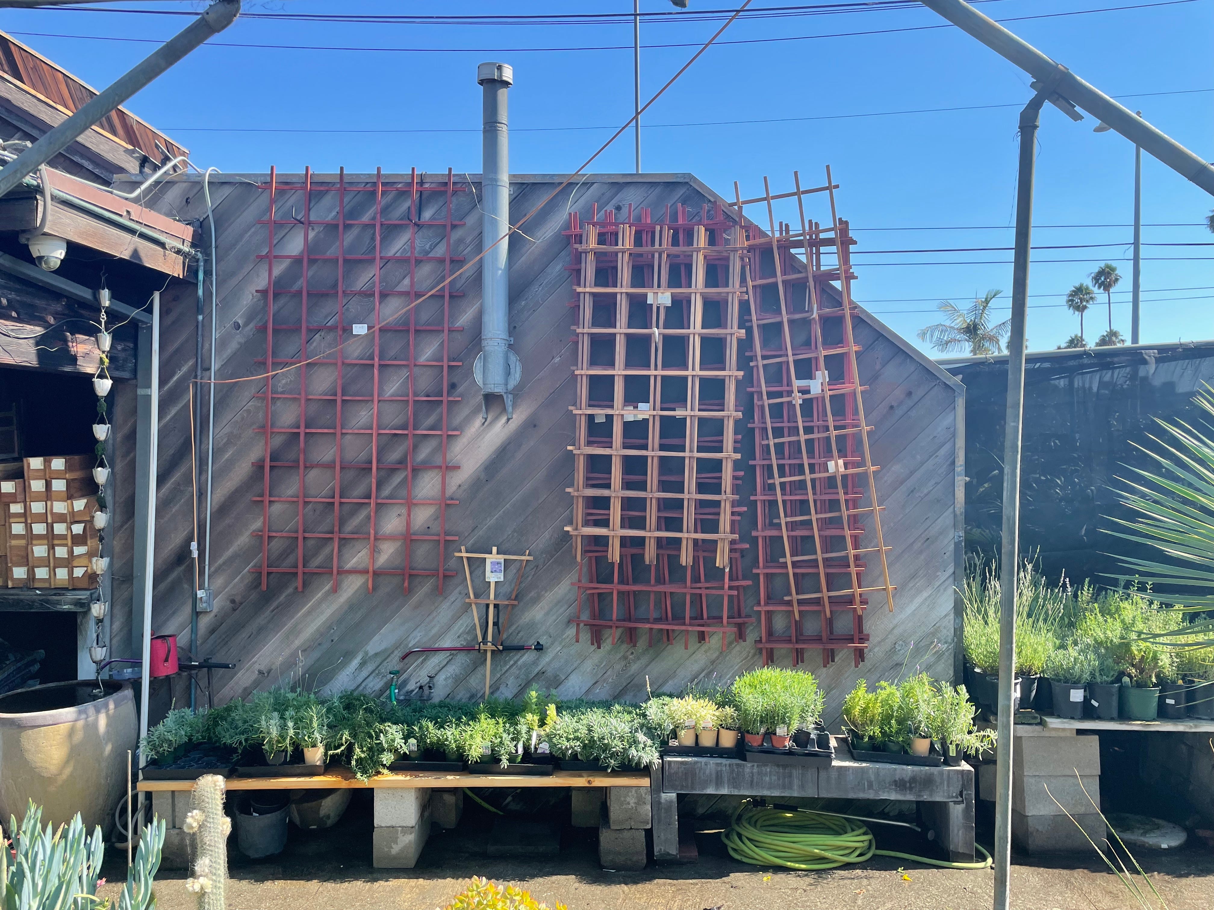 Potted Hope - by Langan Kingsley - Safe n' Warm