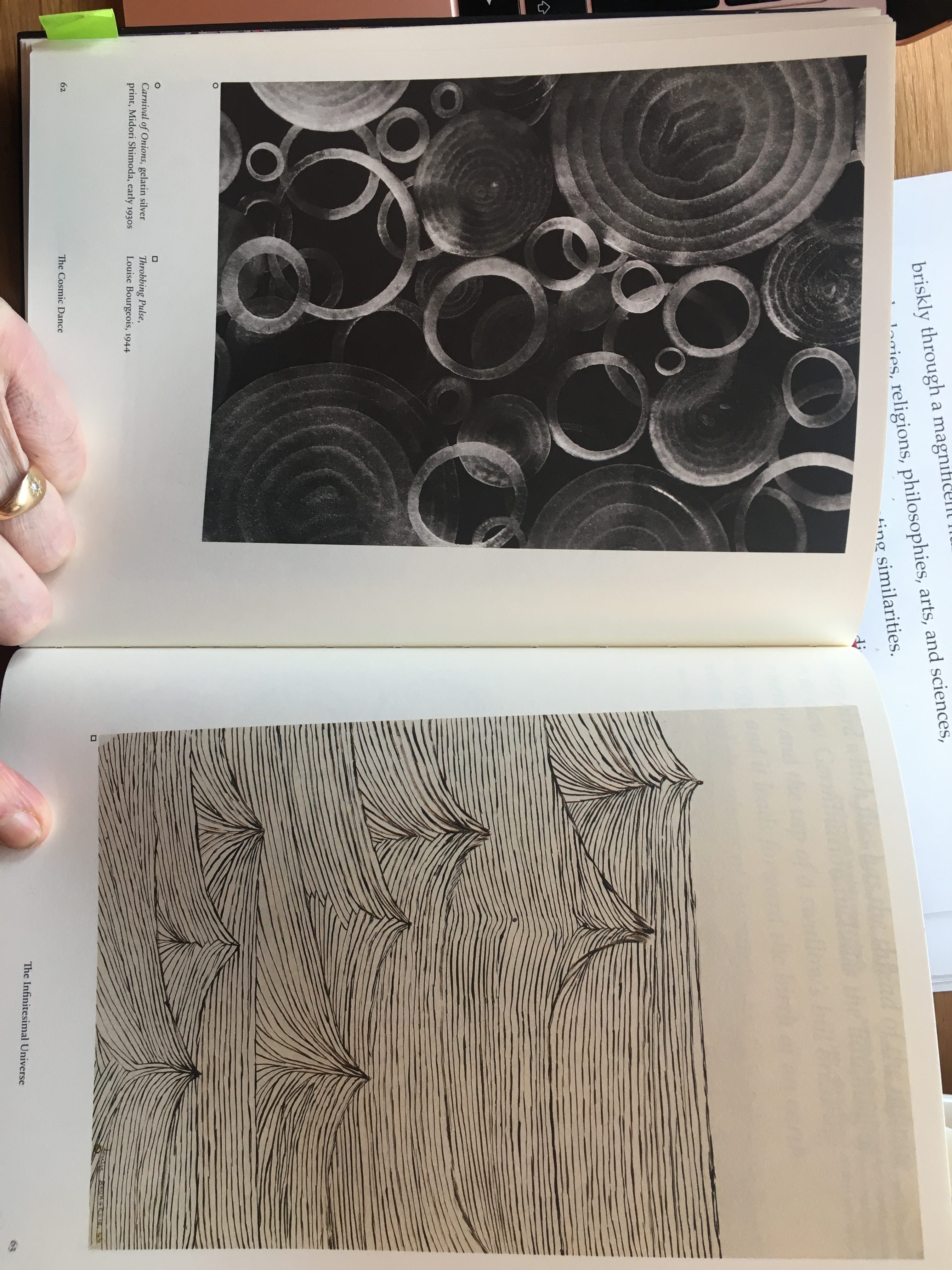 Book review: The Cosmic Dance, by Stephen Ellcock